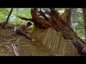 Build a Safe and Warm Shelter, Shelter in the Tree Roots – My Life in ...