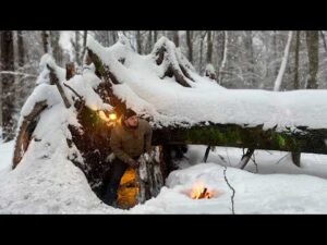 Building a Cozy Winter Shelter Under Tree Roots | Ice Fishing ...