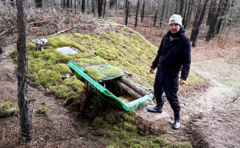Building a Cozy Winter Shelter Under Tree Roots | Ice Fishing ...